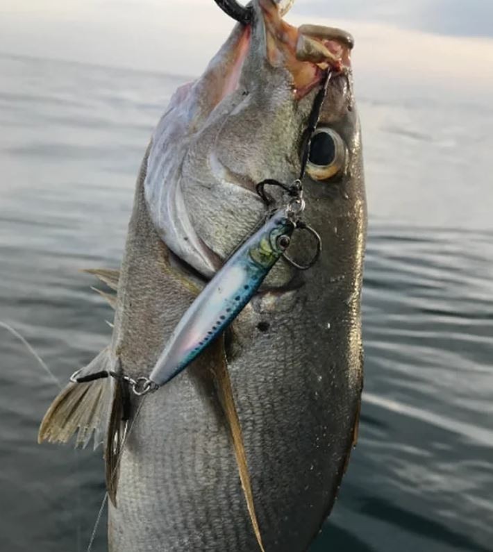 Maripesca | Jig Little Jack - Metal Adict Type 01 - 30g - 6.5cm - (Cores a escolher)